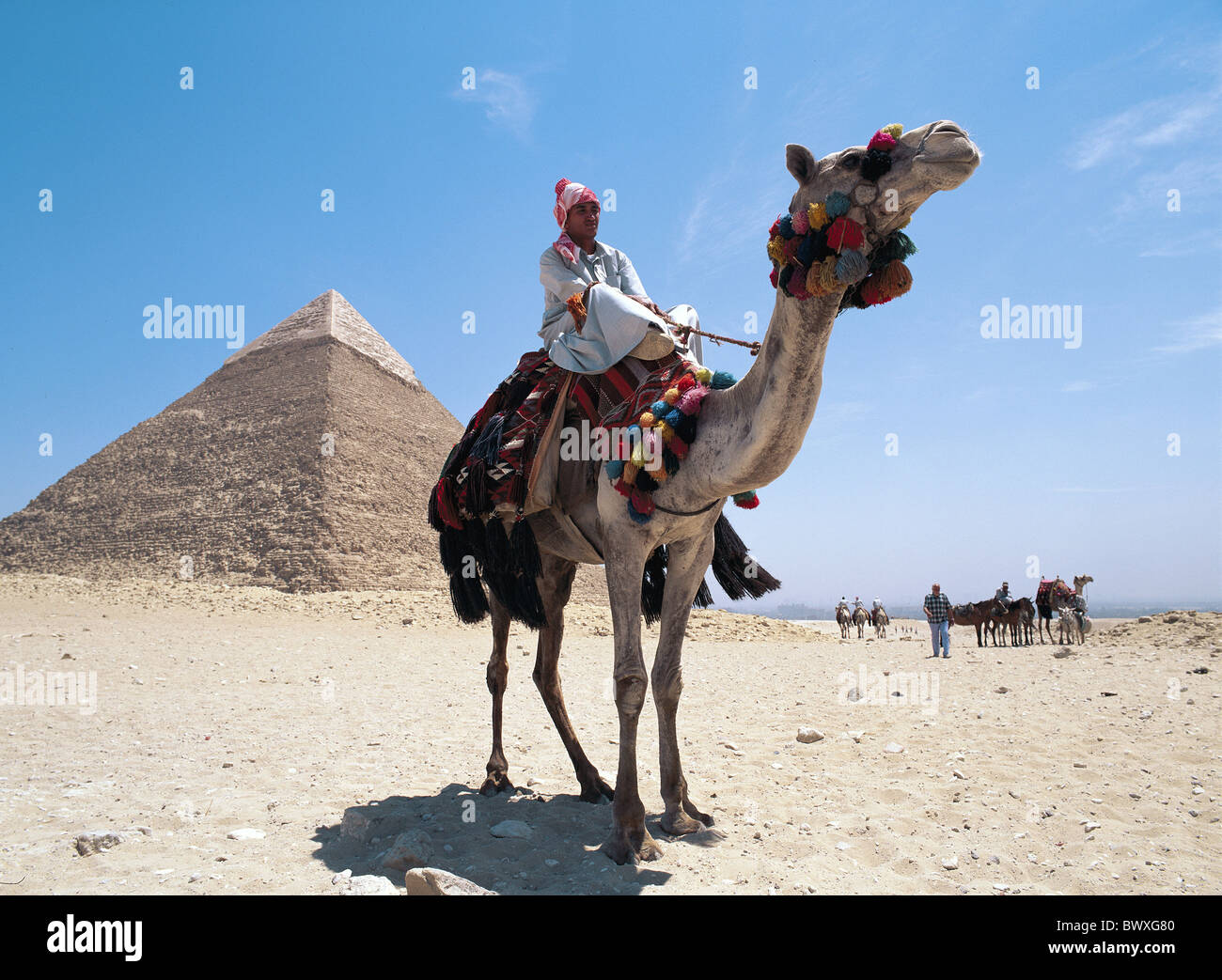 Egypt pyramid North Africa desert camel rider tourism Stock Photo - Alamy