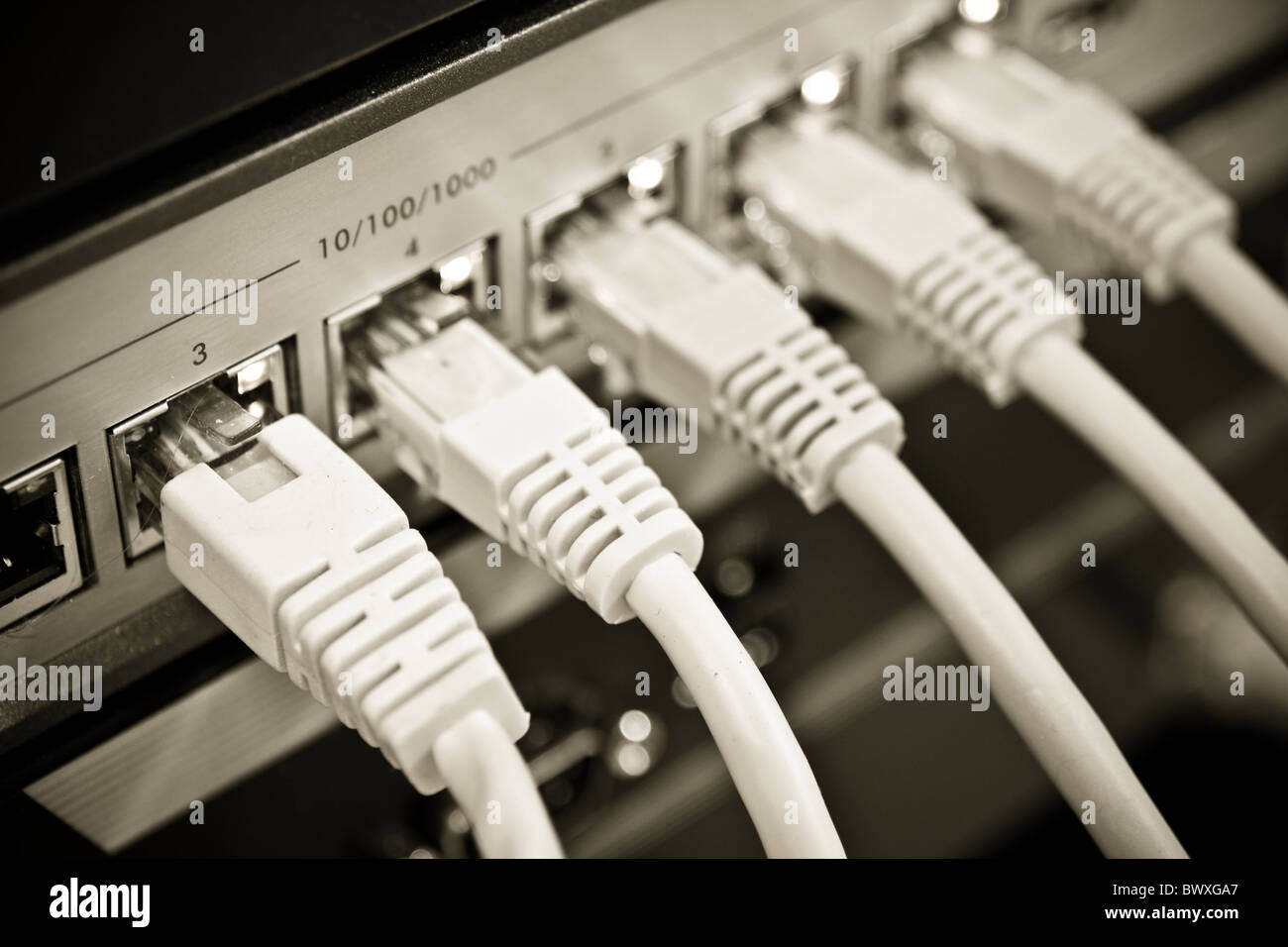 network cables RJ45 connected to a switch Stock Photo - Alamy