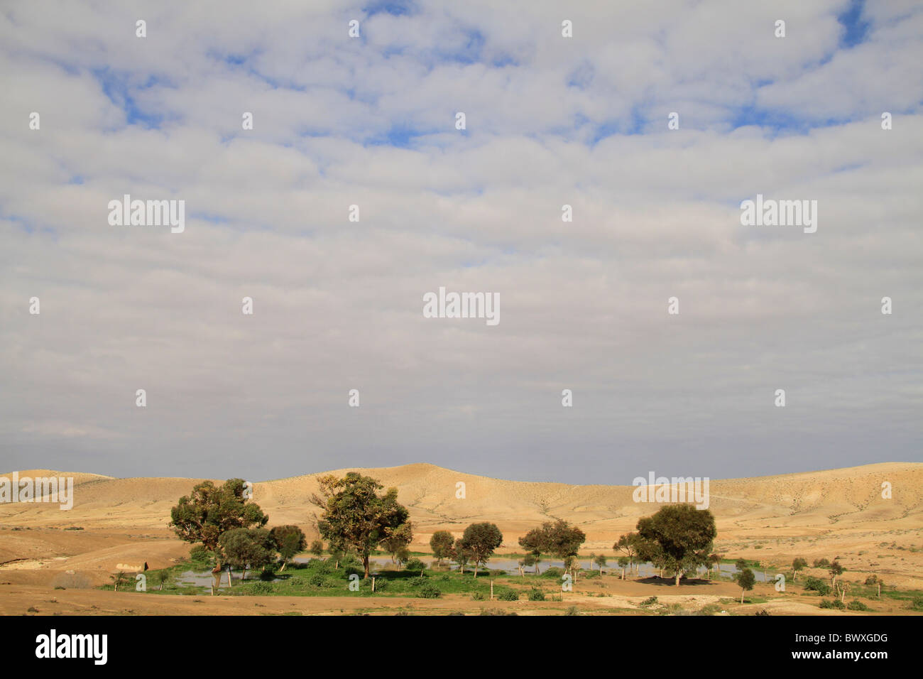 Hi310 754 hi-res stock photography and images - Alamy