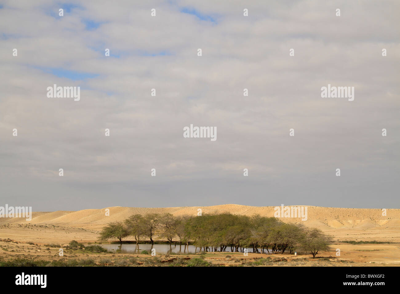 Liman hi-res stock photography and images - Alamy