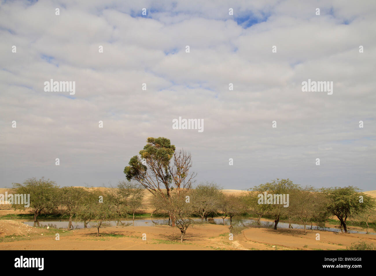 Liman hi-res stock photography and images - Alamy