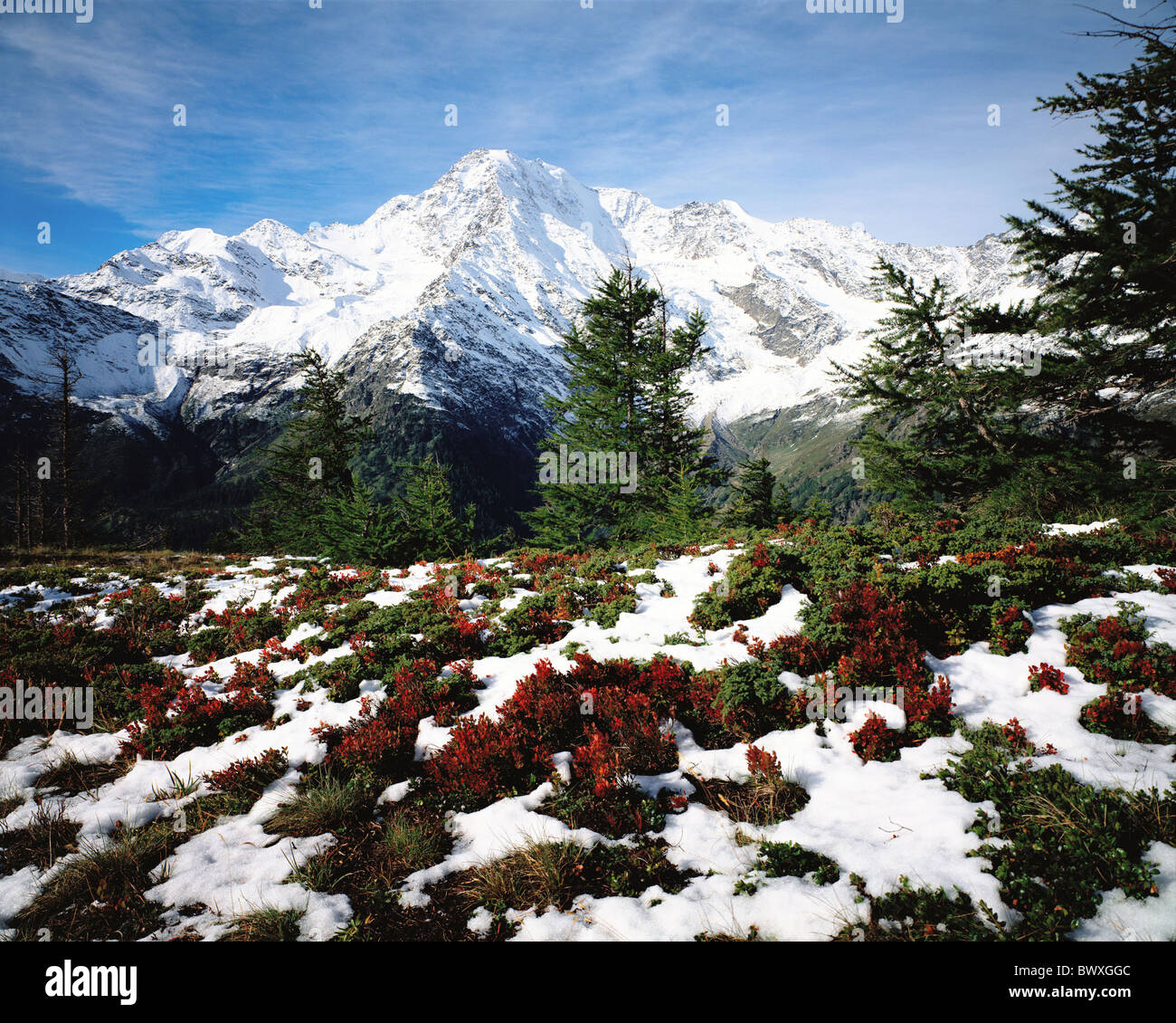 alp mountains alpine Alps mountain panorama Fletschhorn scenery plants ...