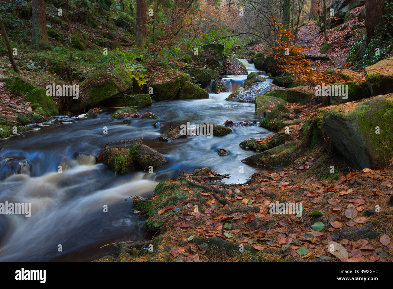 River Rivelin Stock Photos & River Rivelin Stock Images - Alamy