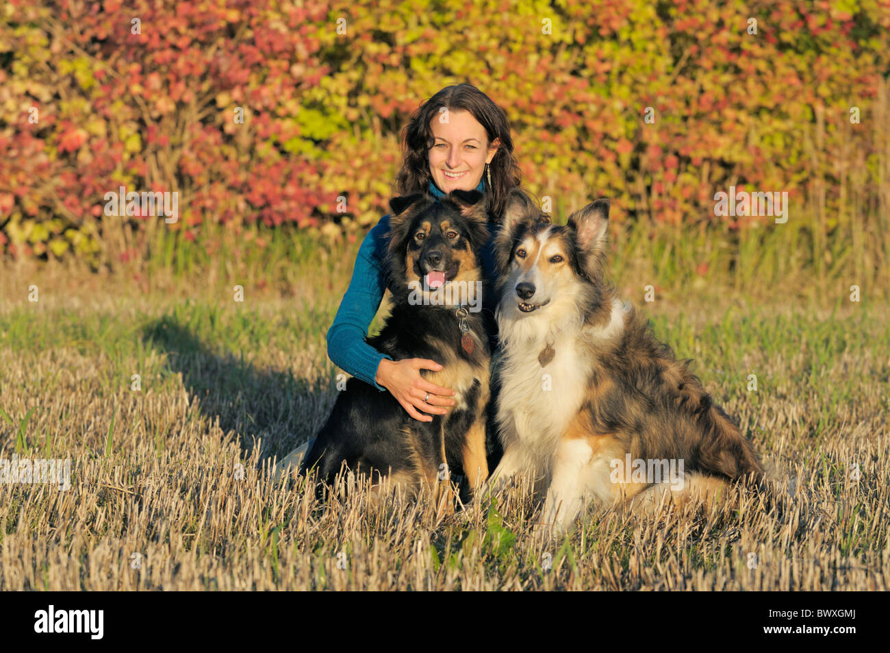Young woman with her two dogs in autumn in the evening (Australian ...