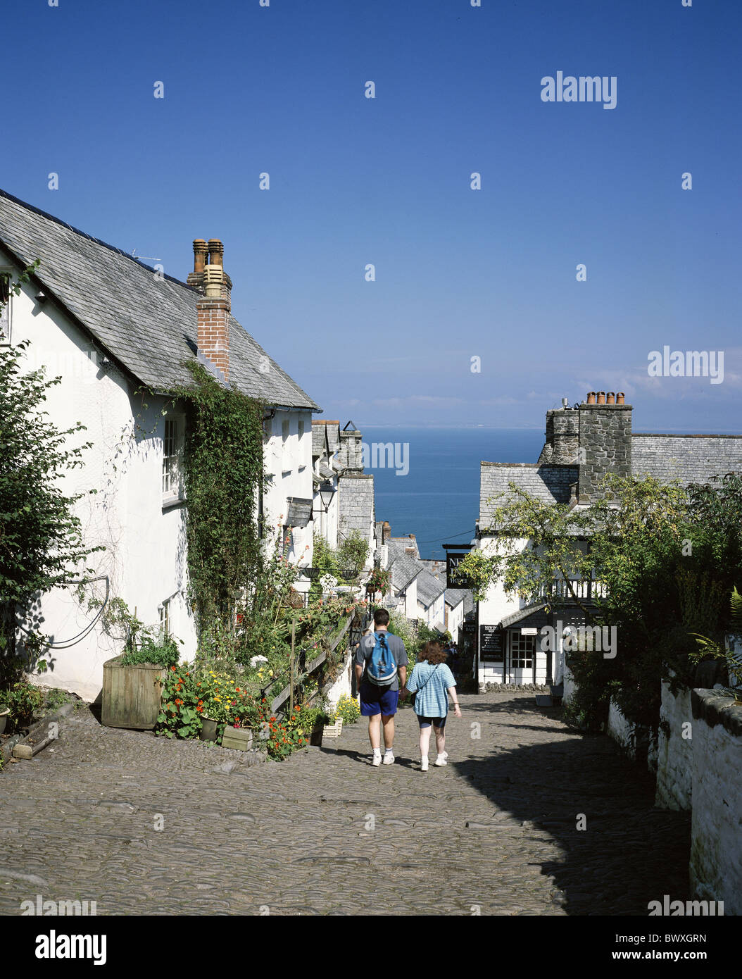 sloping flowers Clovelly Devon England Great Britain Europe houses ...