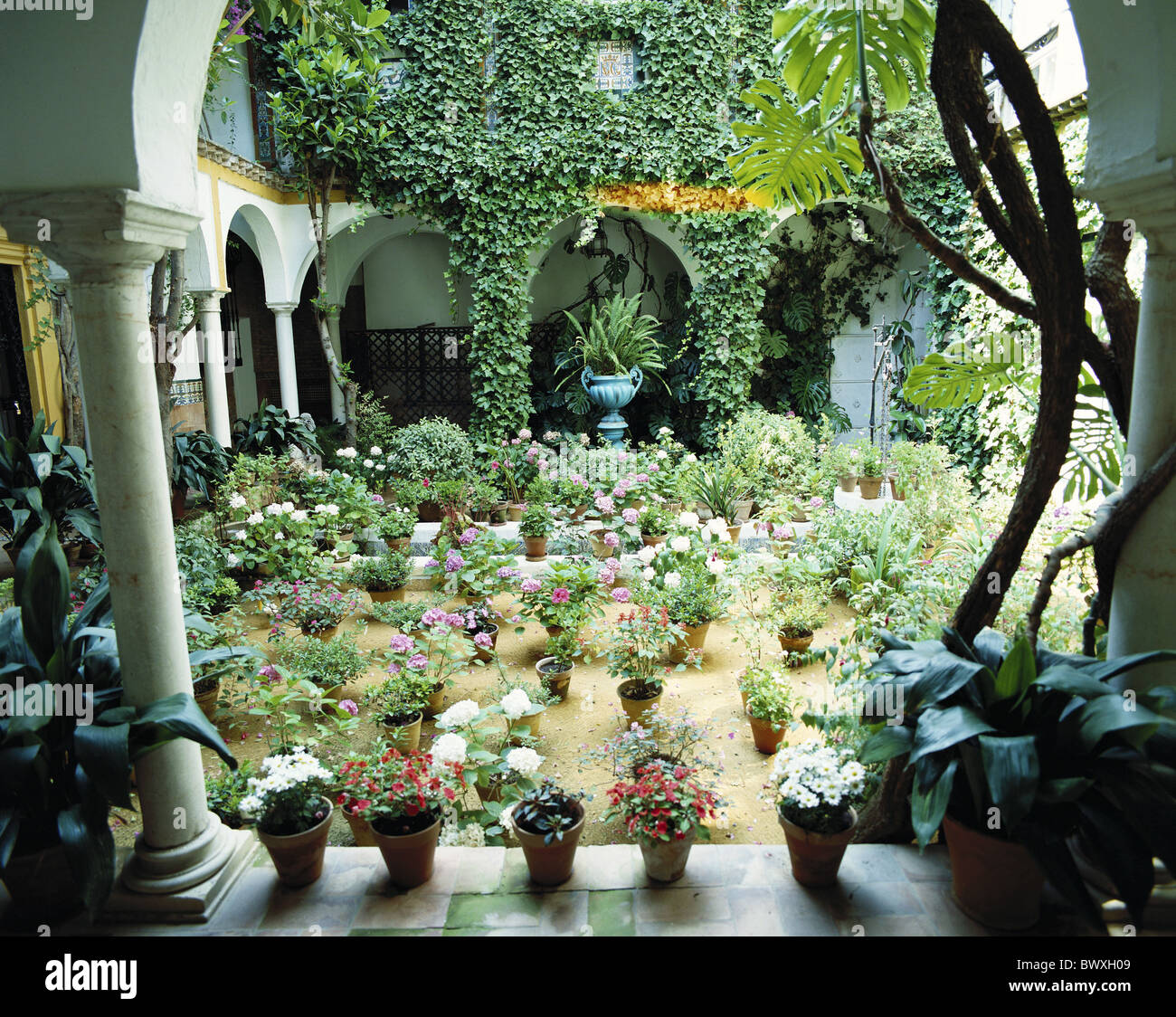 flowerpots flowering plants ivy facade pergola Seville Spain Europe ...