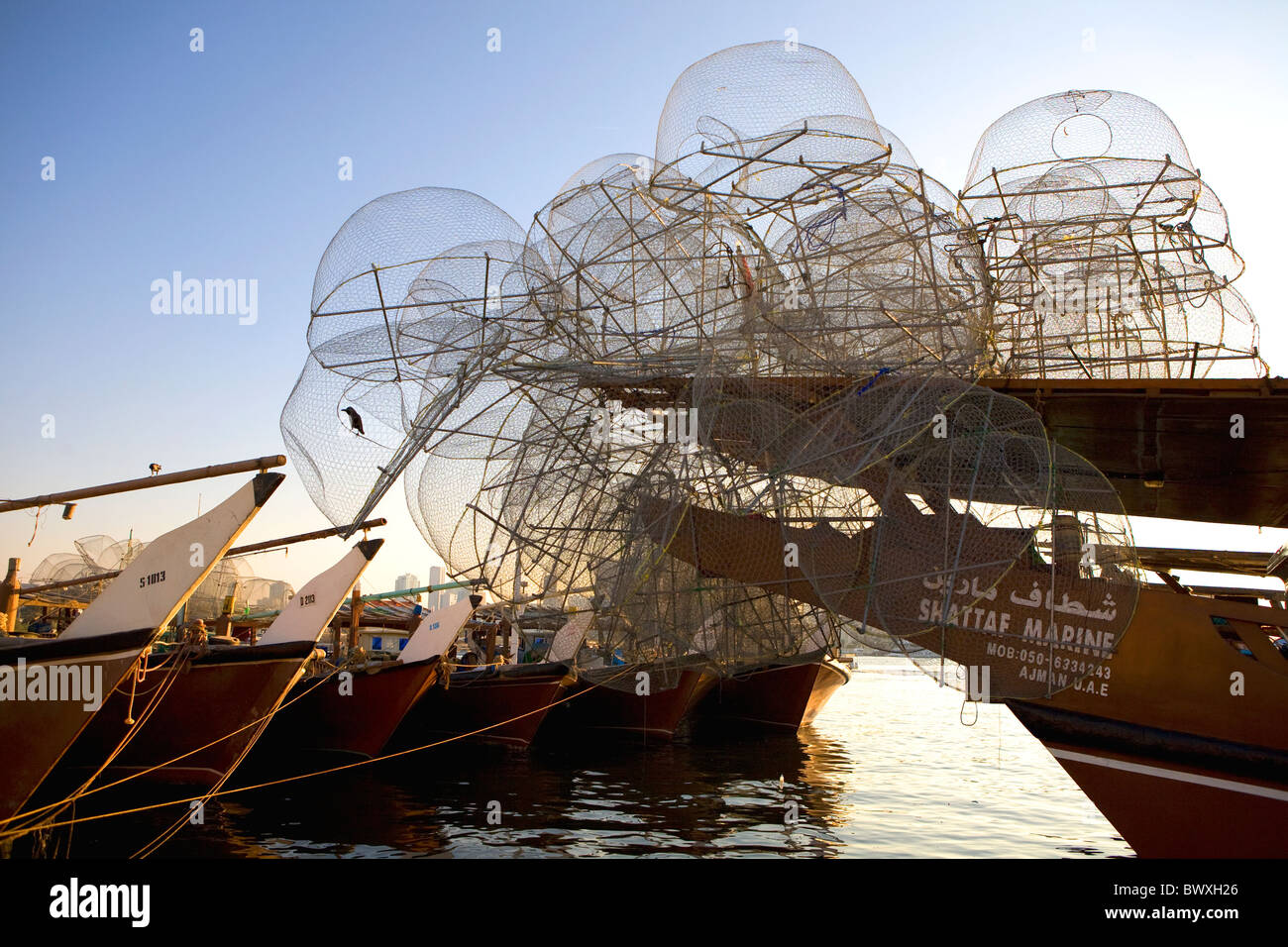 Qatar fish hi-res stock photography and images - Alamy