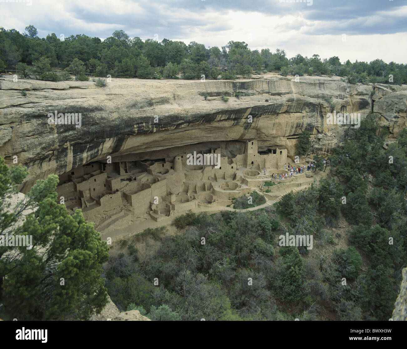 Cliff Dwellings Colorado native american cliff houses Mesa Verde Spruce ...