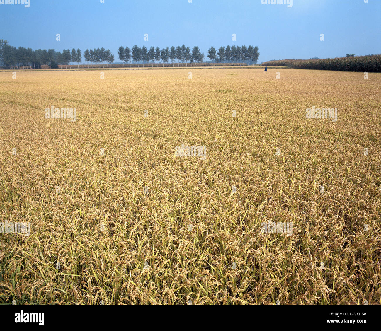 Plain italy hi-res stock photography and images - Alamy