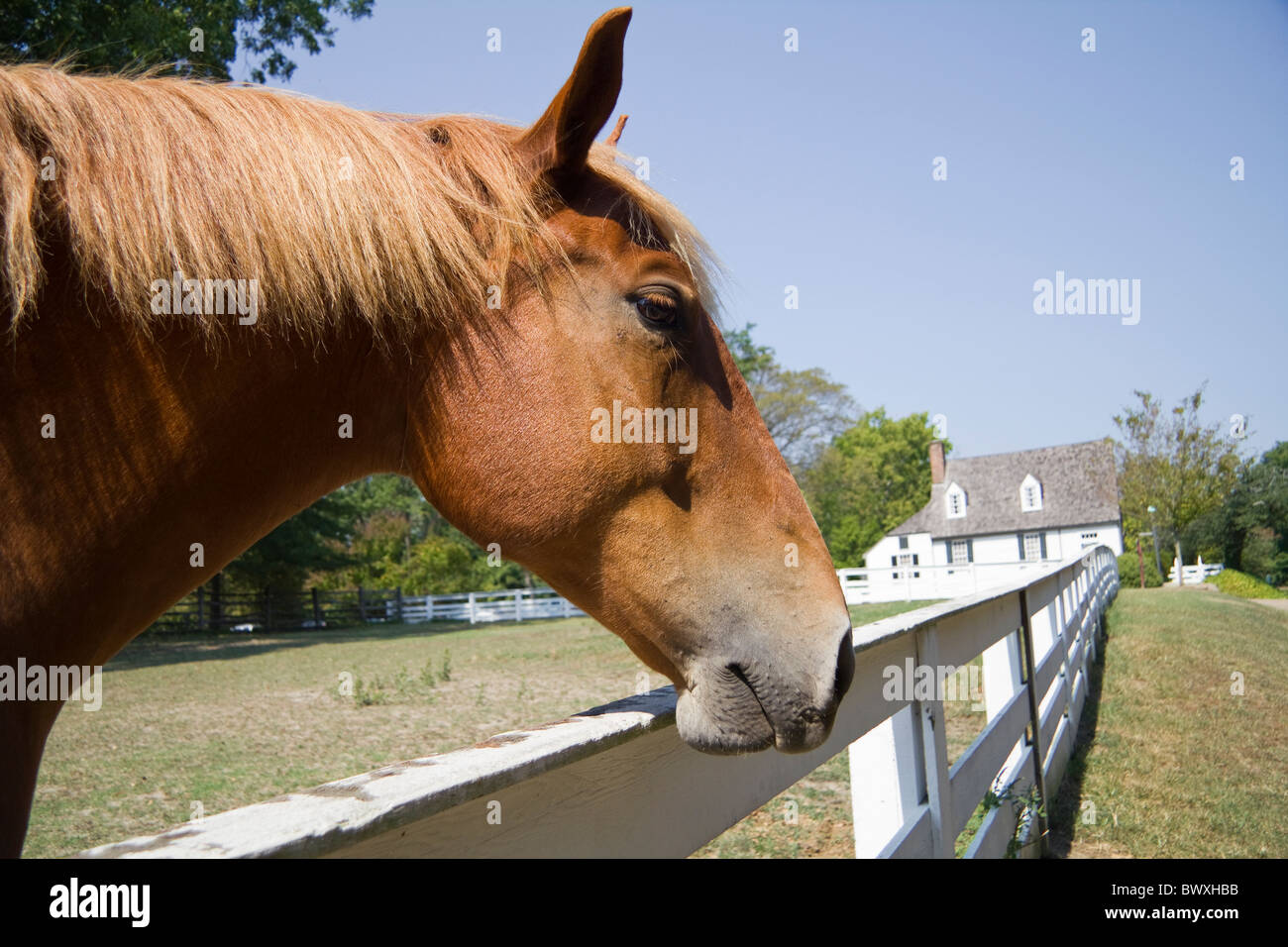 Colonial williamsburg virginia usa hi-res stock photography and images ...