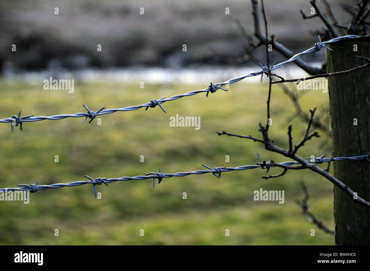 barbed wire fencing Stock Photo - Alamy