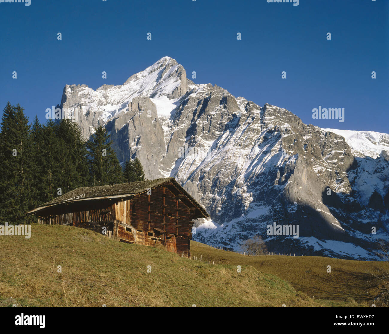 alp near Grindelwald Bern Bernese Oberland barn Switzerland Europe ...