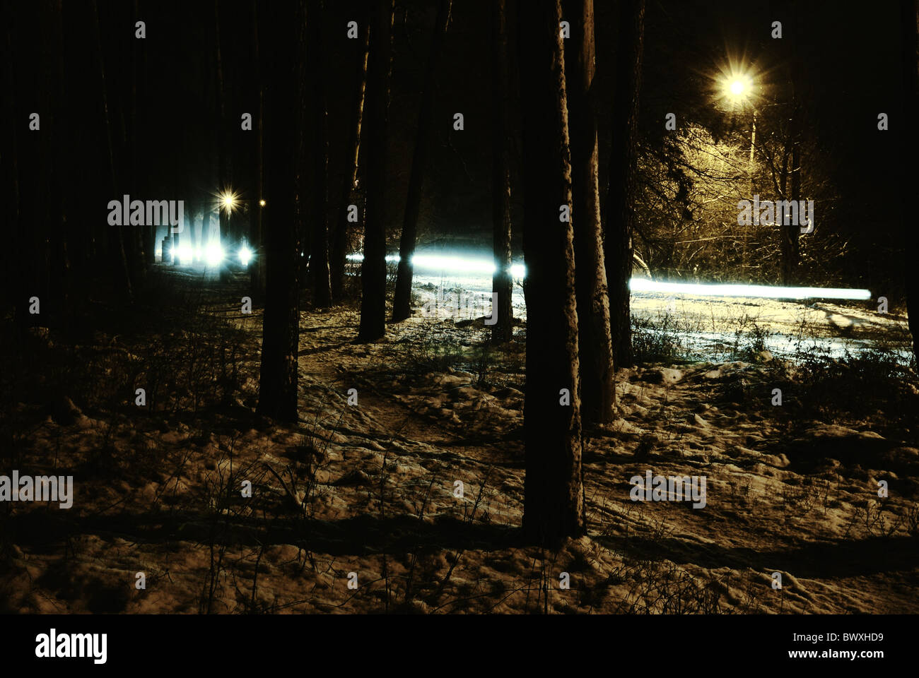 Night driving forest hi-res stock photography and images - Alamy