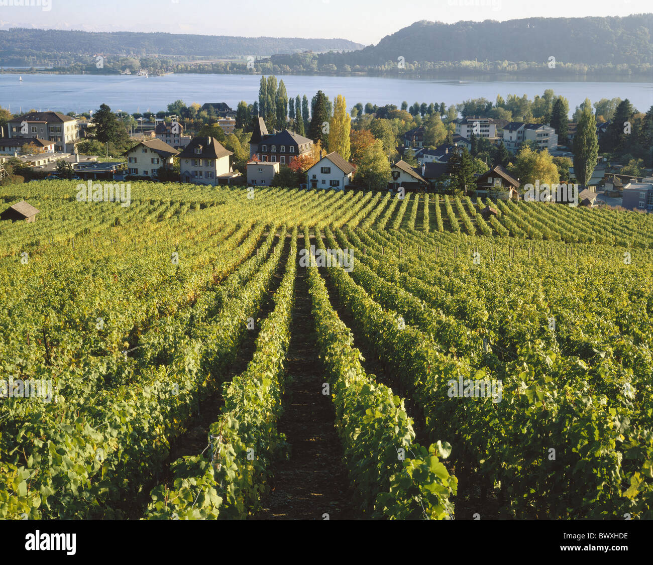 Biel lake hi-res stock photography and images - Alamy