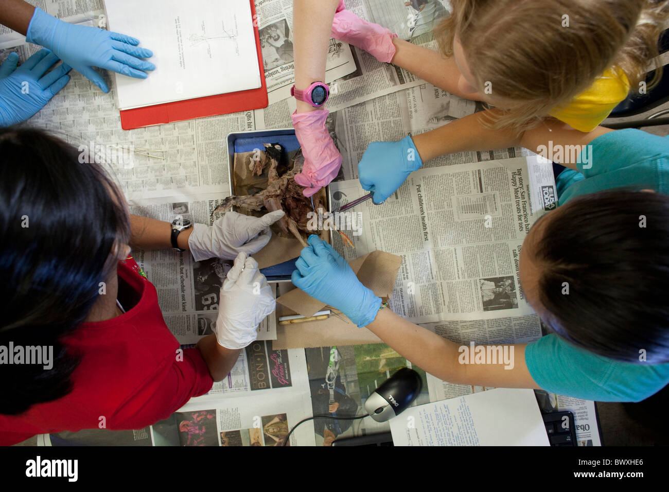 8th grade girls hi-res stock photography and images - Alamy