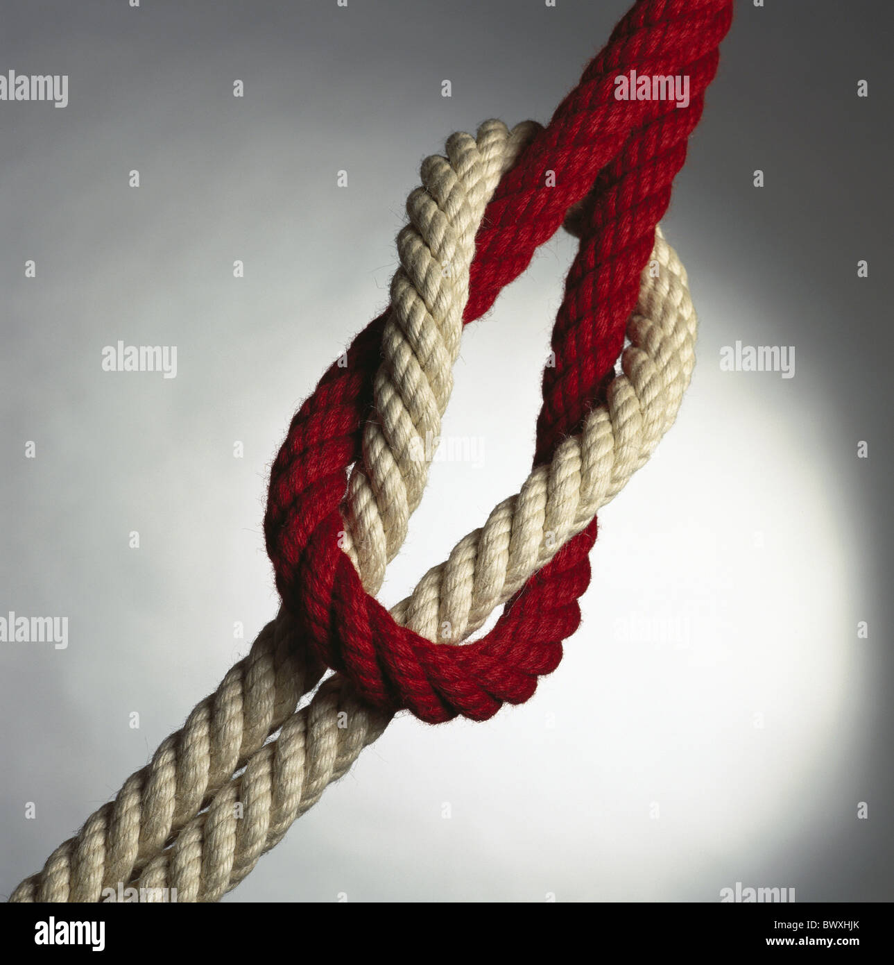 hold into each other products red loop noose rope rope dew textiles dry ...
