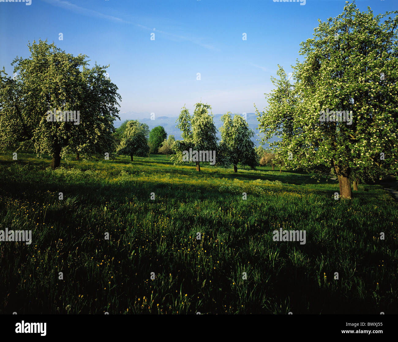 Hitzkirch hi-res stock photography and images - Alamy