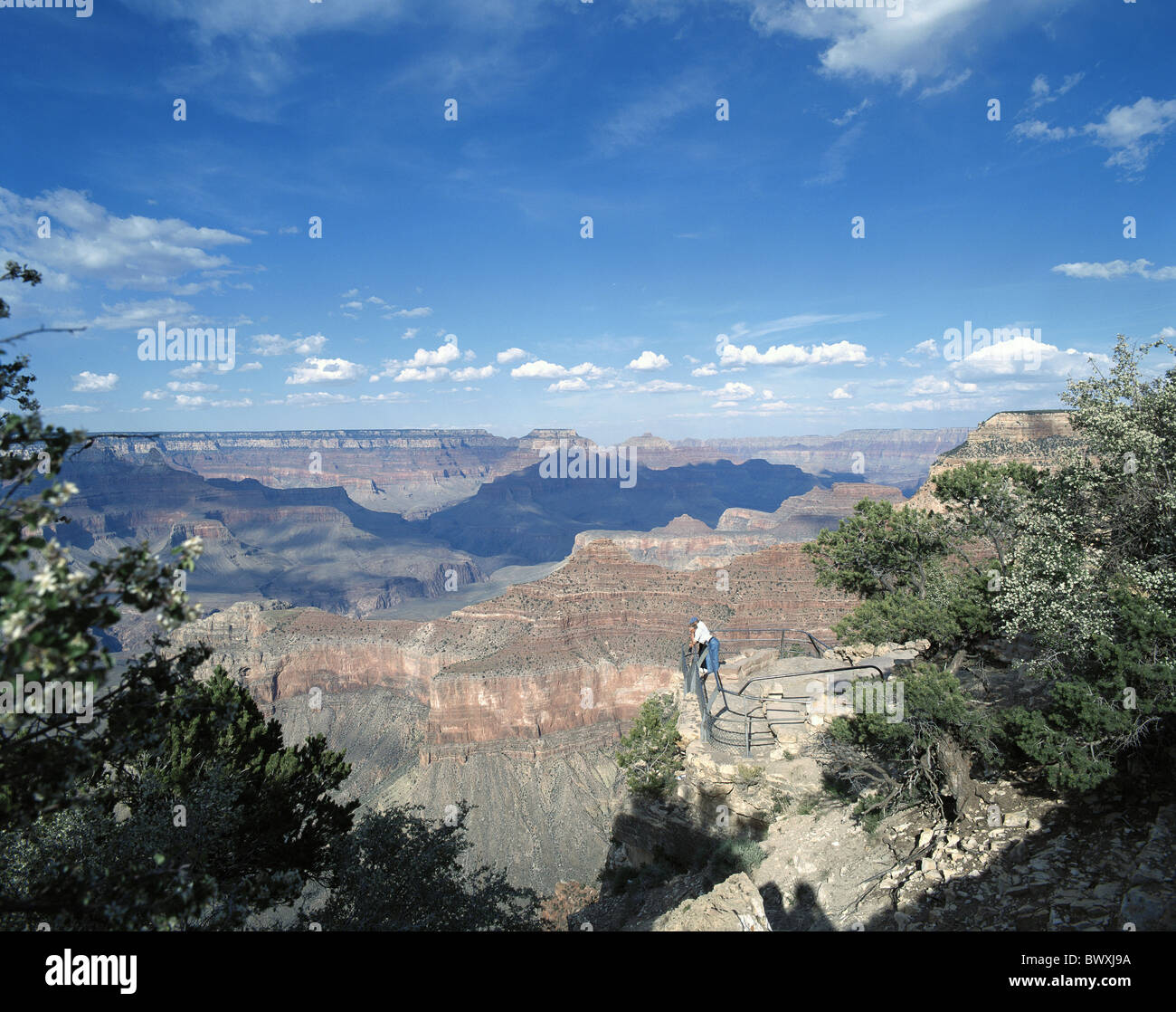Arizona vantage point Grand canyon overview USA America North America ...