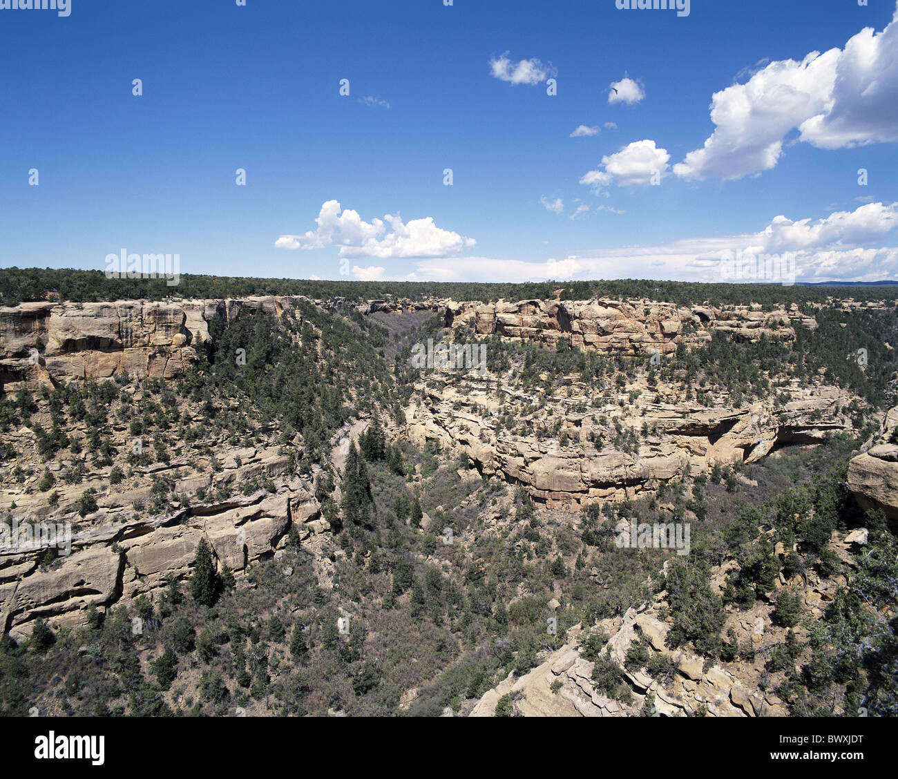 Cliff Dwellings Colorado cliff houses Mesa Verde USA America North ...