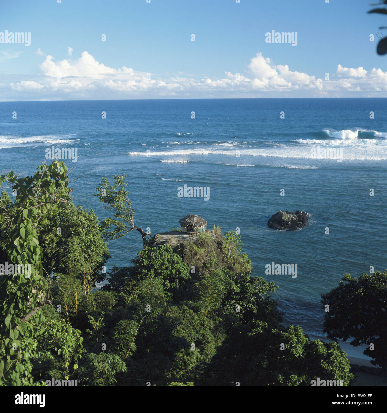 trees surf waves rocks cliffs south coast Upolu foreground west Samoa ...