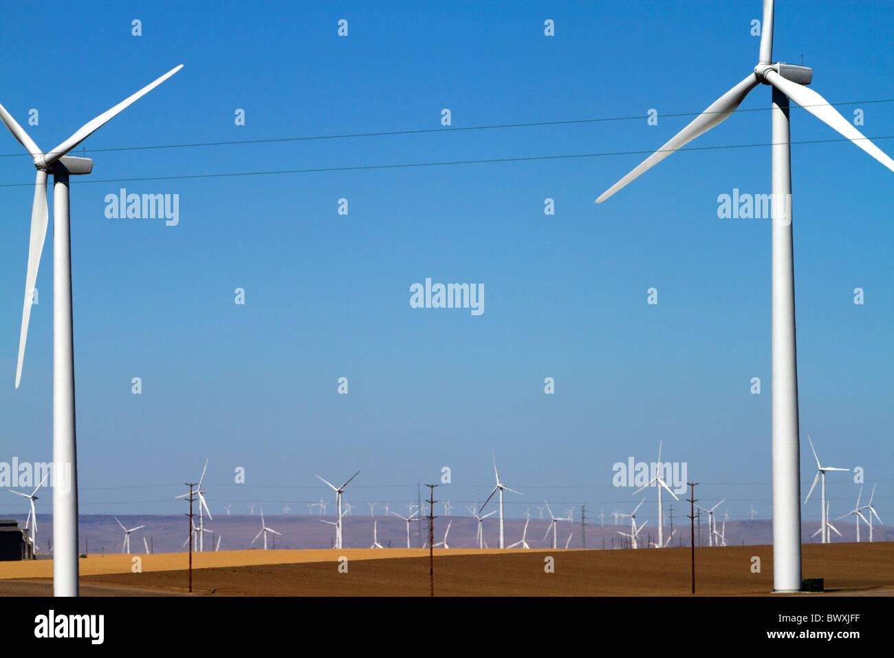Biglow Canyon wind farm located near the town of Wasco, Oregon, USA ...