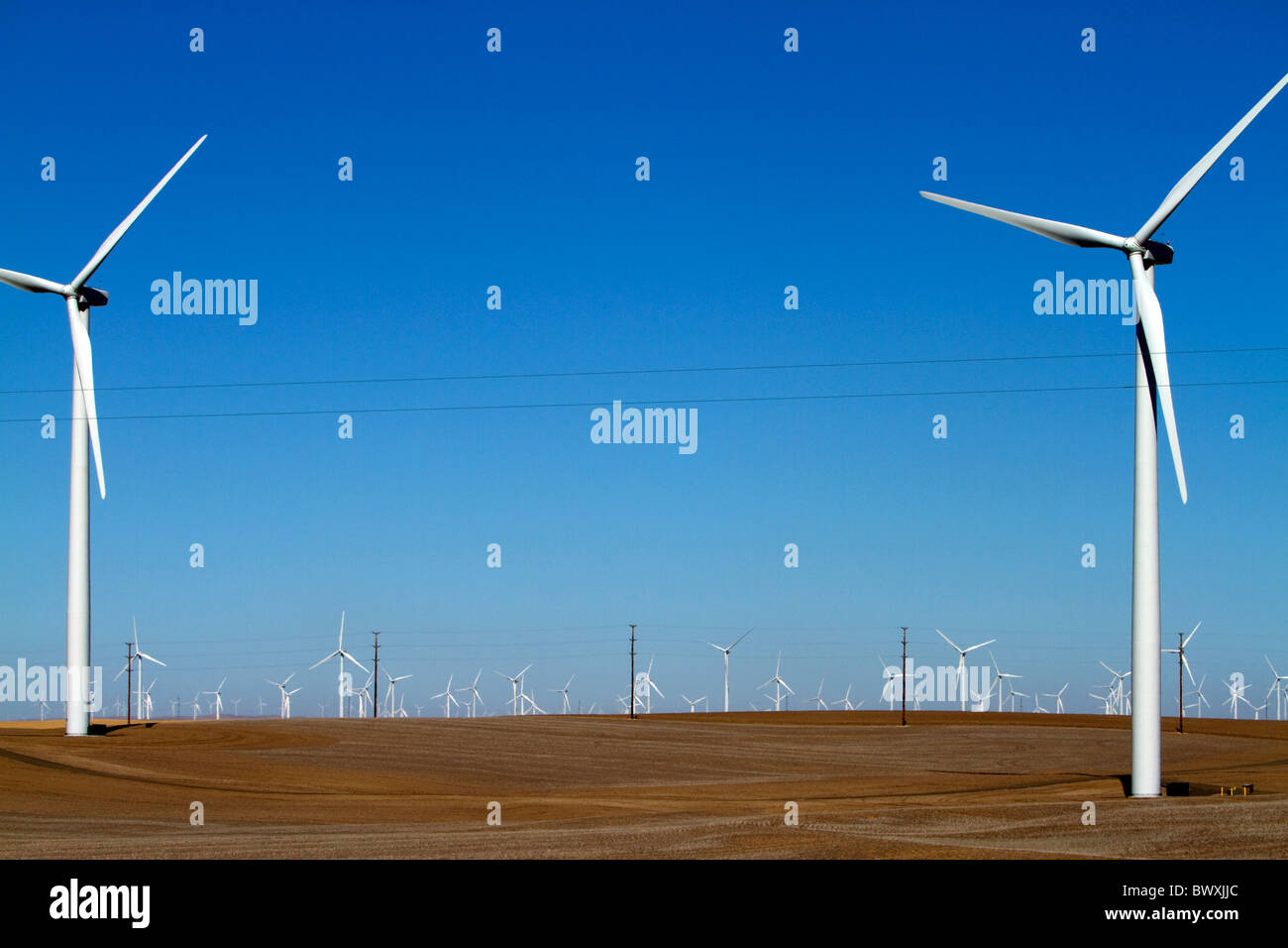 Biglow Canyon wind farm located near the town of Wasco, Oregon, USA ...