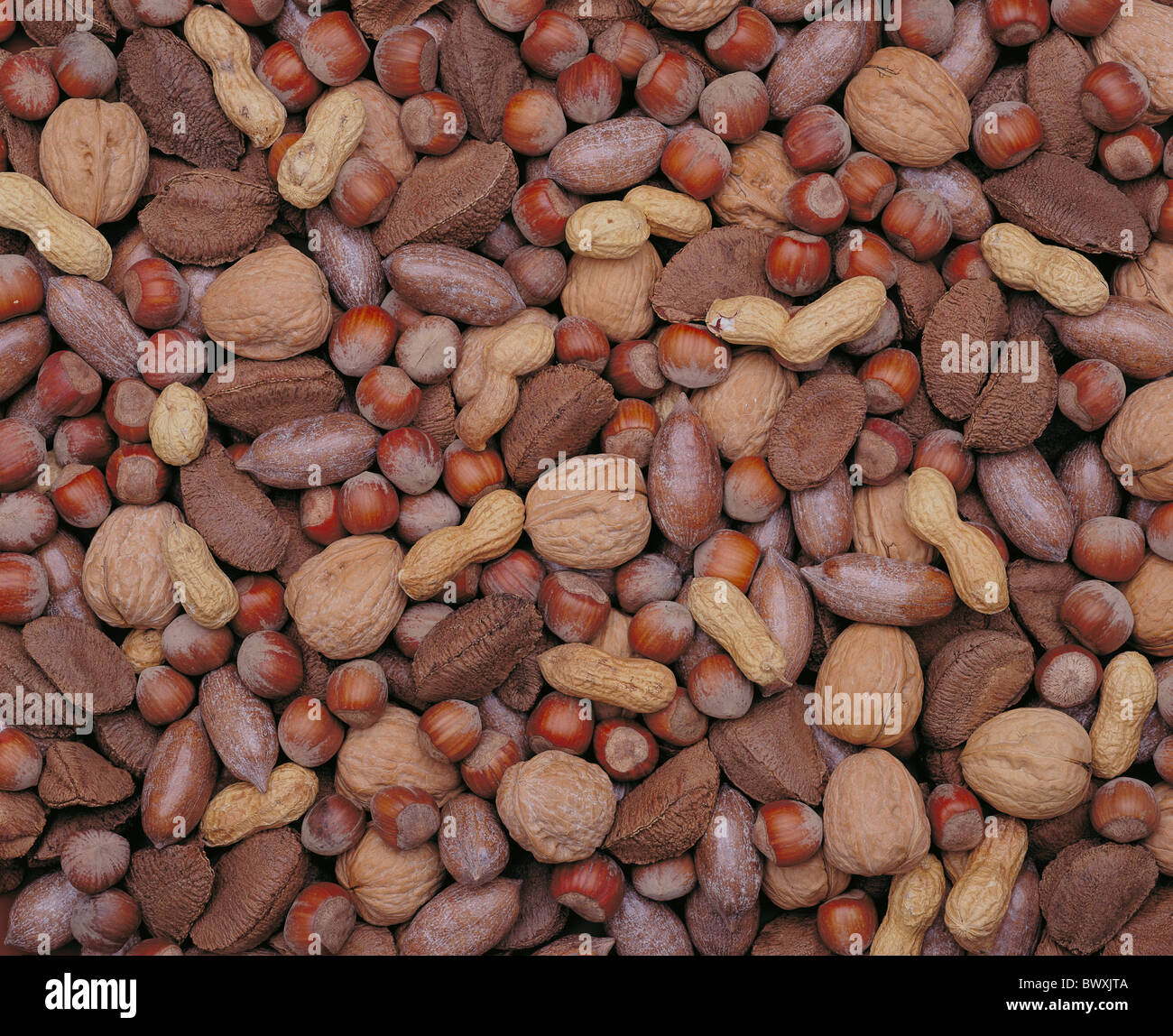 10061635 hi-res stock photography and images - Alamy