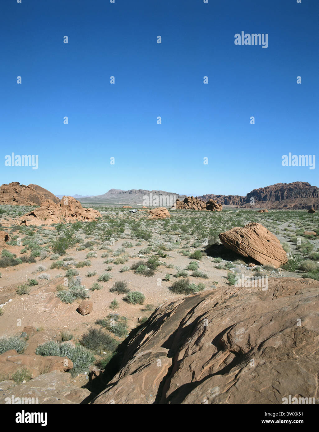 Bee Hives rock formation Nevada USA America North America Valley of ...
