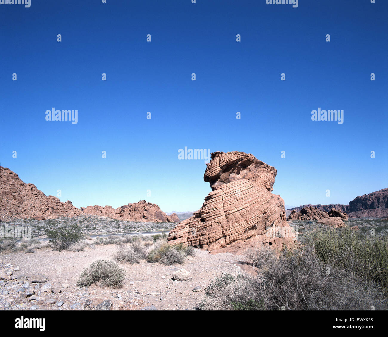 Rock bee hi-res stock photography and images - Alamy
