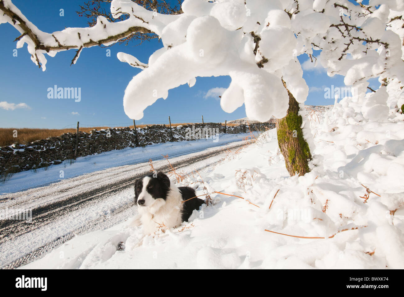 Covering car drift hi-res stock photography and images - Alamy