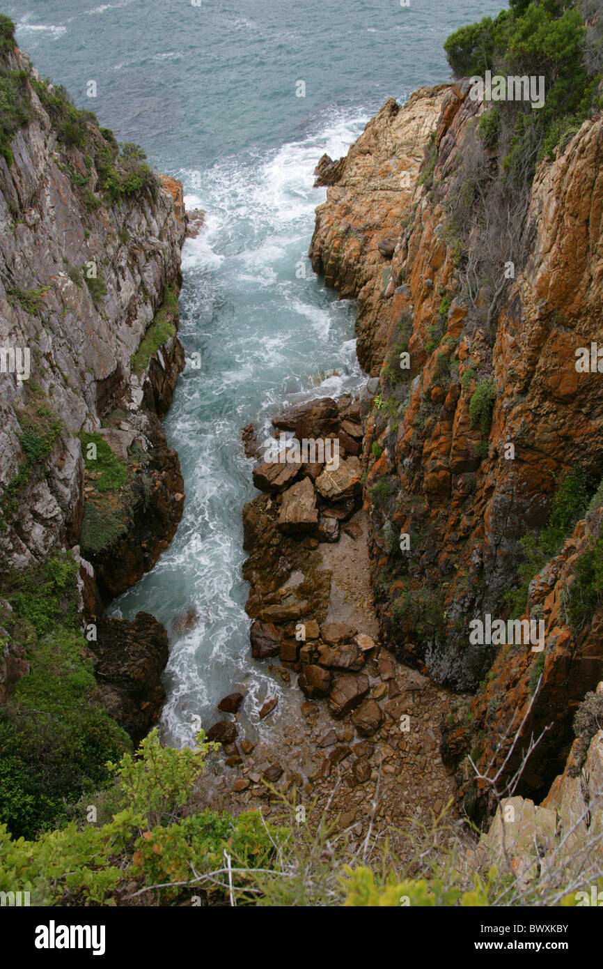 Featherbed Nature Reserve, Knysna, Western Cape, South Africa. A View ...