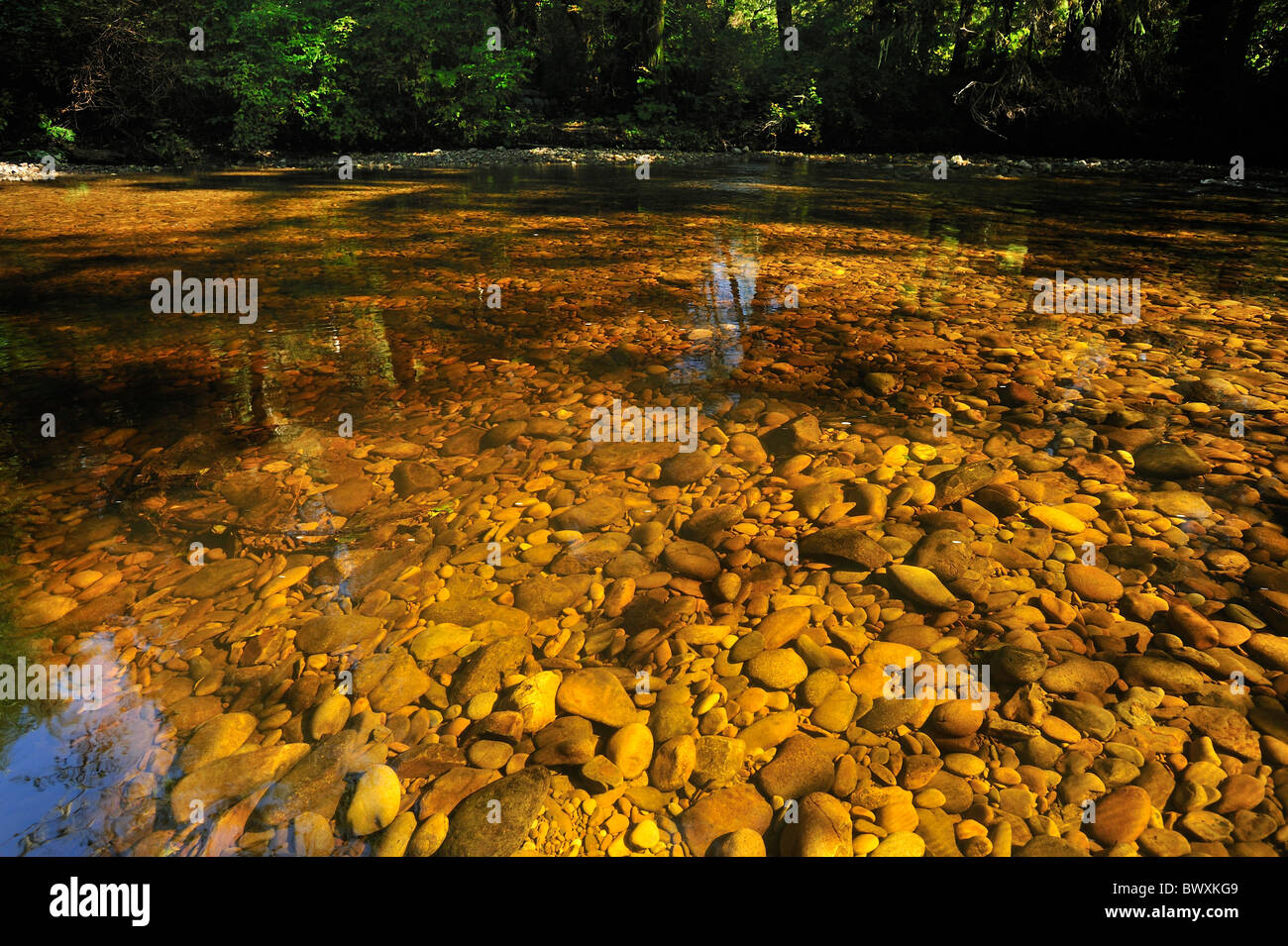 Clearwater River basin, Washington Stock Photo - Alamy