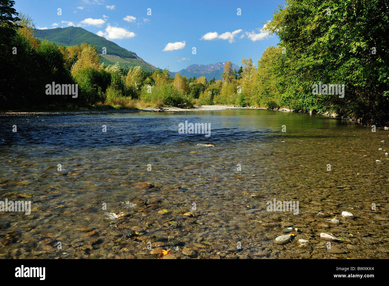 Dosewallips River basin, Washington Stock Photo - Alamy