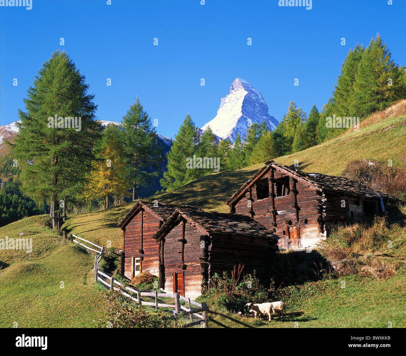 trees slope inclination huts Matterhorn landmark mountain Switzerland ...