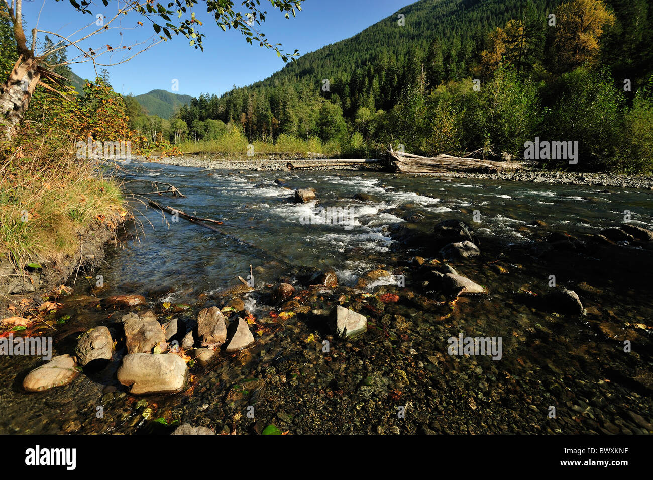 Dosewallips River Basin High Resolution Stock Photography and Images ...