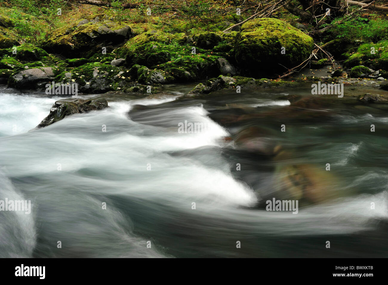 Dosewallips River basin, Washington Stock Photo - Alamy