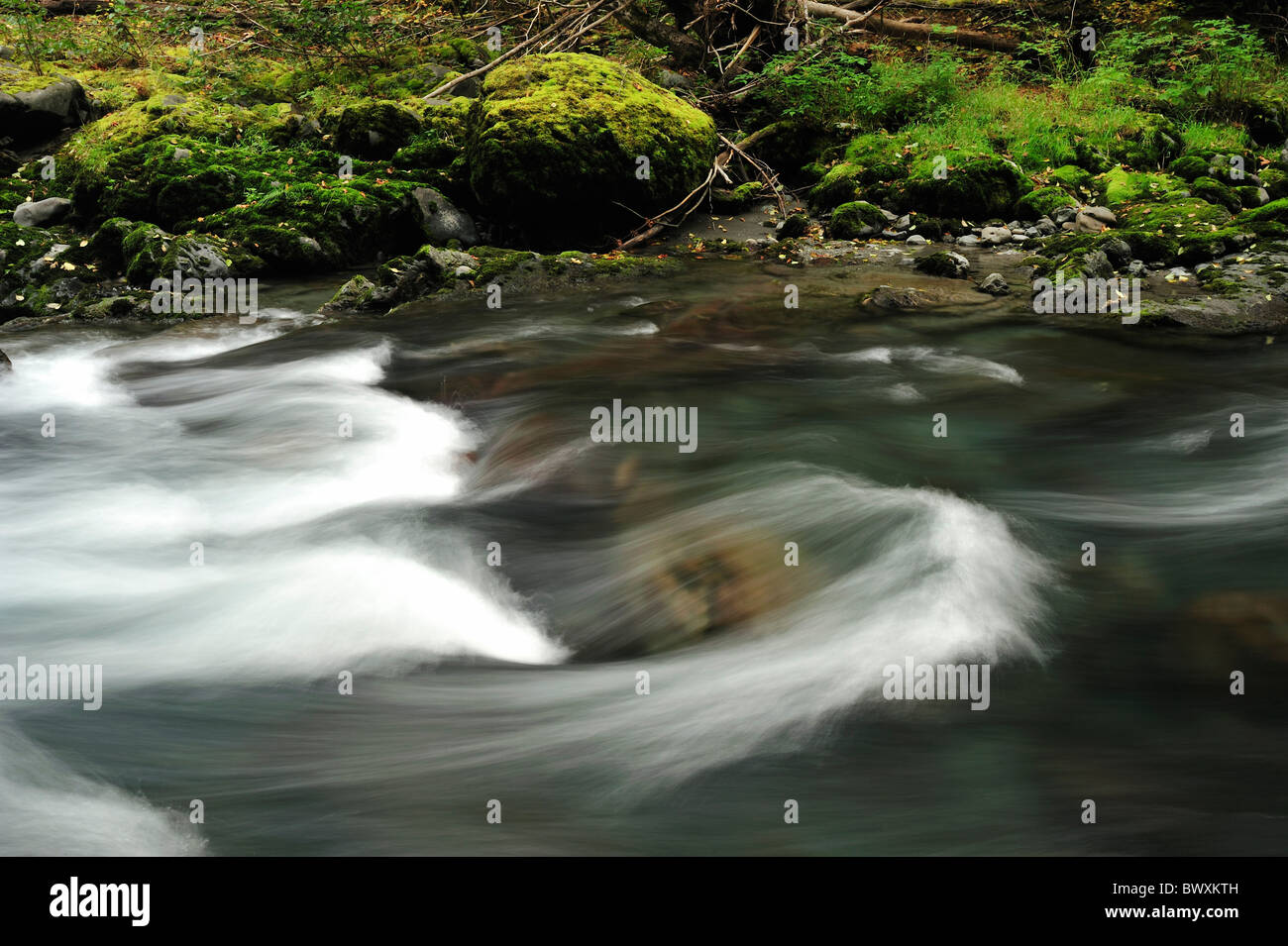 Dosewallips River basin, Washington Stock Photo - Alamy