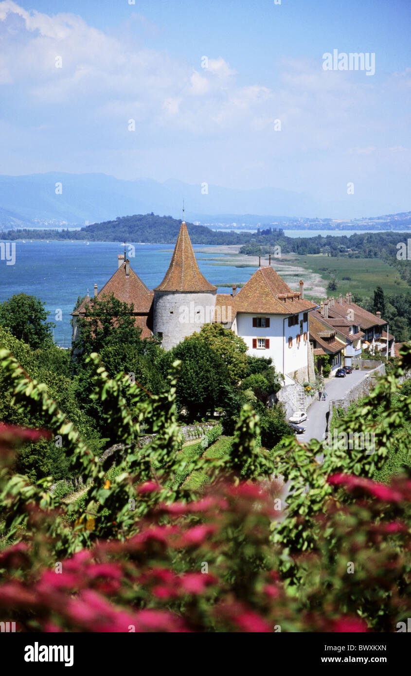 trees canton Bern lake Biel lake sea Erlach houses homes castle ...