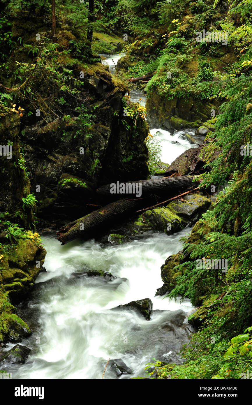 Sol Duc River, Olympic National Park, Washington Stock Photo - Alamy