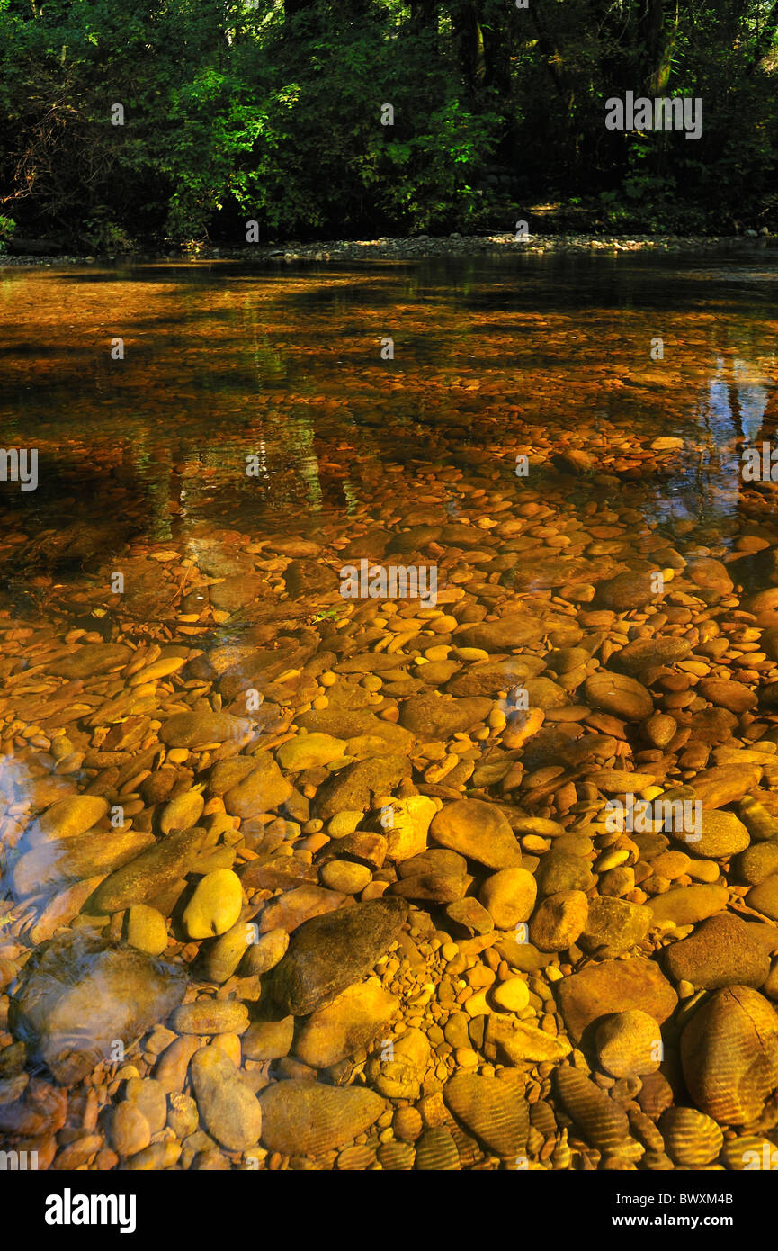 Hurst Creek, Clearwater River basin, Washington Stock Photo - Alamy