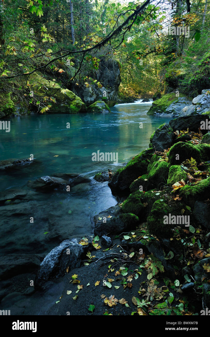 Dosewallips River basin, Washington Stock Photo - Alamy