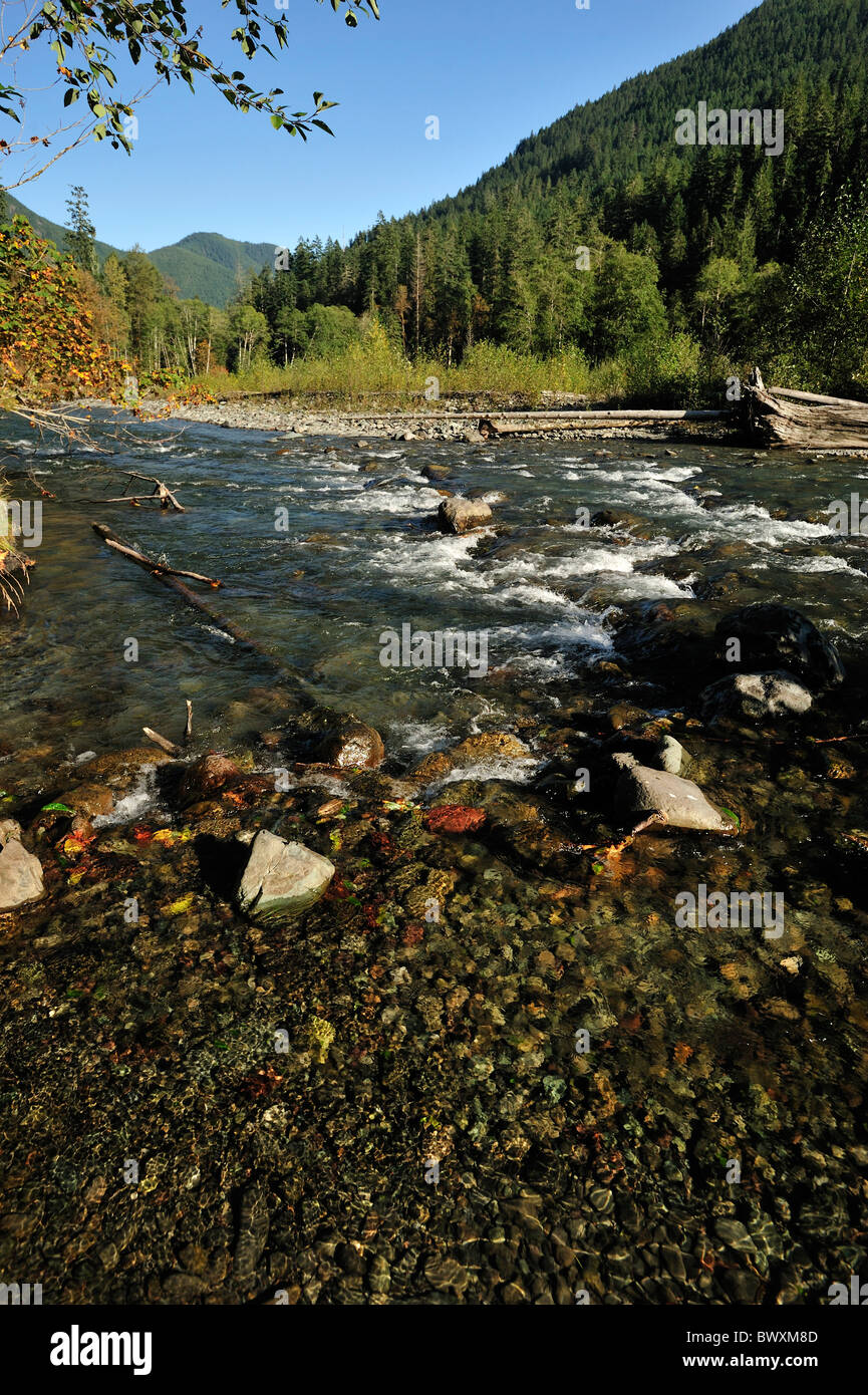 Dosewallips River basin, Washington Stock Photo - Alamy