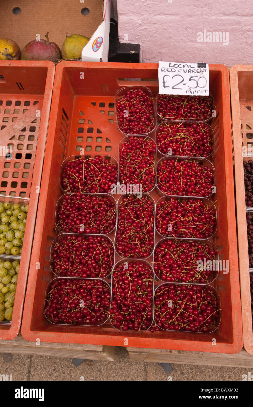 Punnets punnet hi-res stock photography and images - Alamy