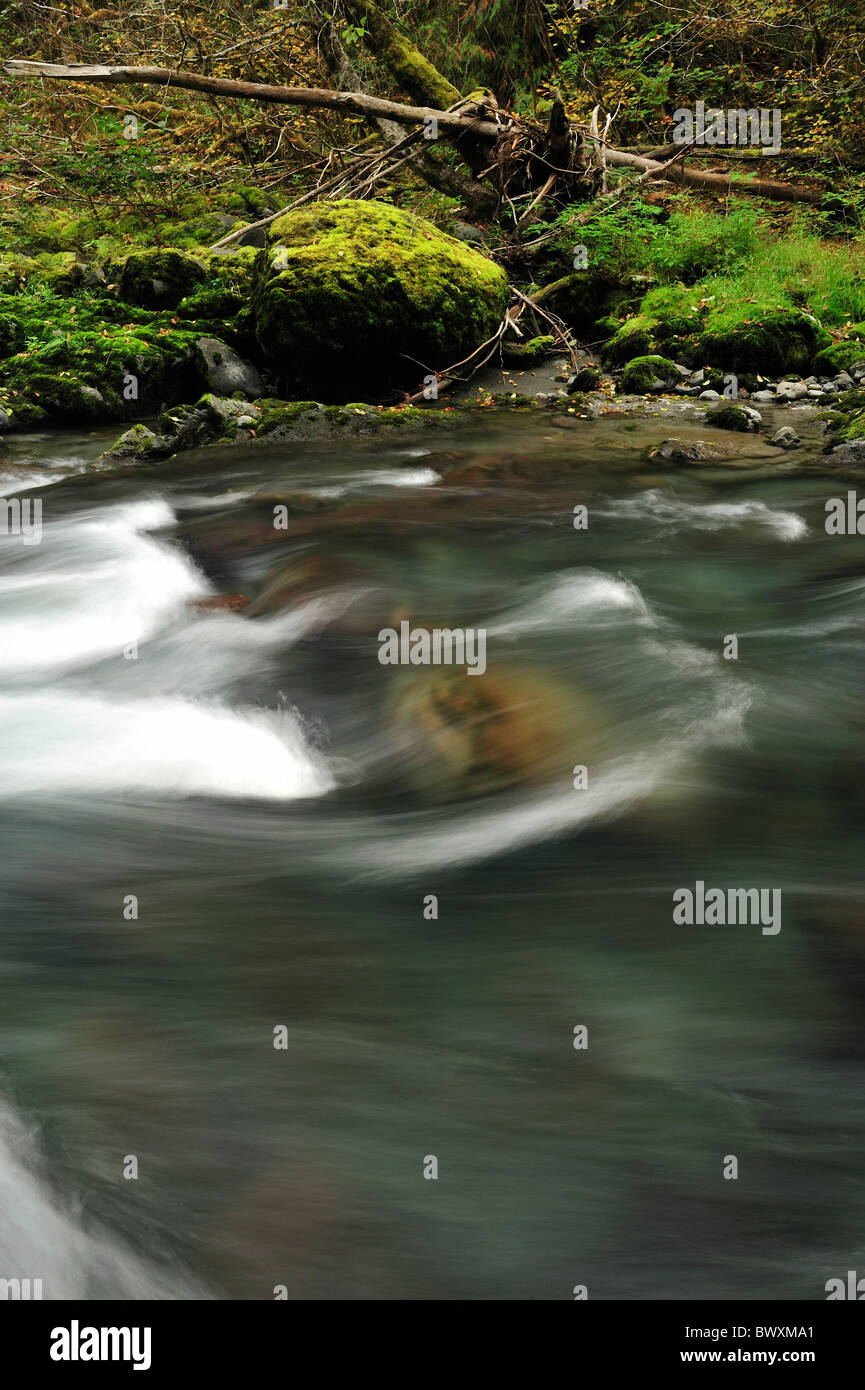 Dosewallips River basin, Washington Stock Photo - Alamy