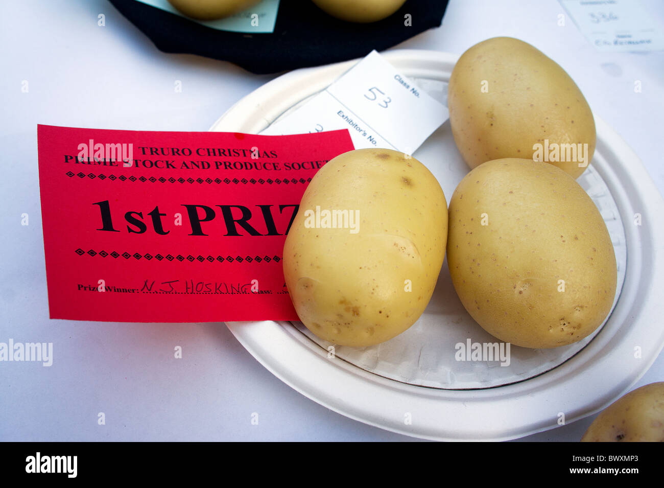 prize winning potatoes at vegetable show Stock Photo - Alamy