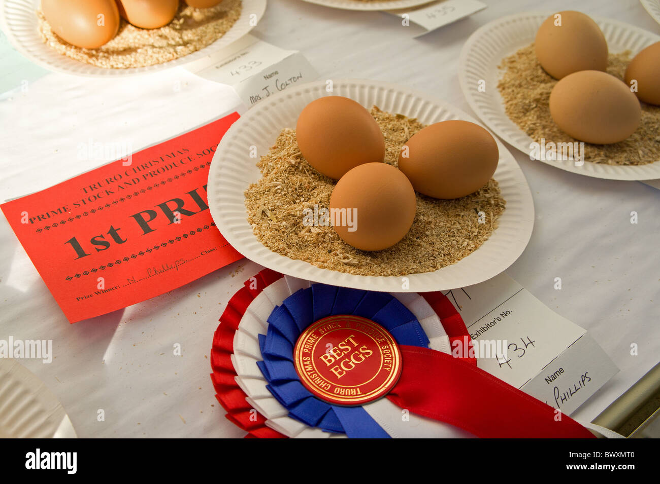 prize winning eggs at a country fair Stock Photo - Alamy