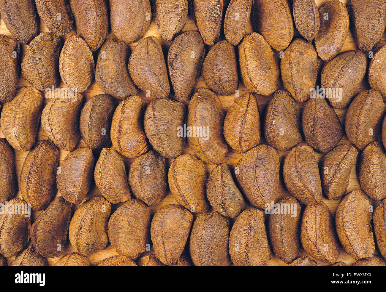 nuts Brazil-nuts Brazil-nut nut food eating Stock Photo - Alamy