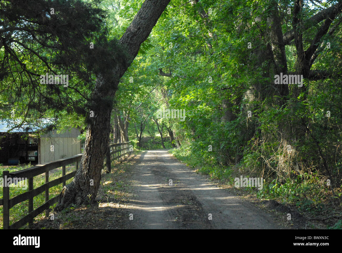 Rural backwoods hi-res stock photography and images - Alamy