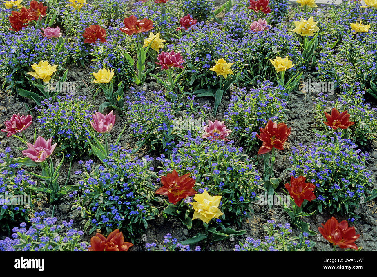 Flower arrangement detail hi-res stock photography and images - Alamy