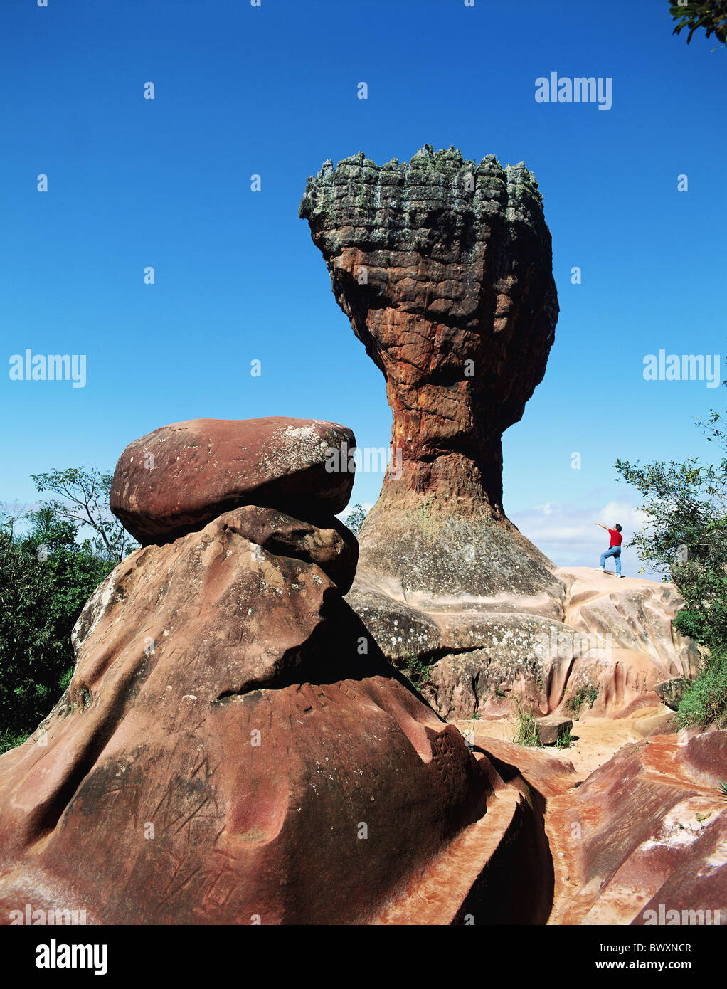 scenery erosion rock cliff bizarre Brazil South America erosion form ...